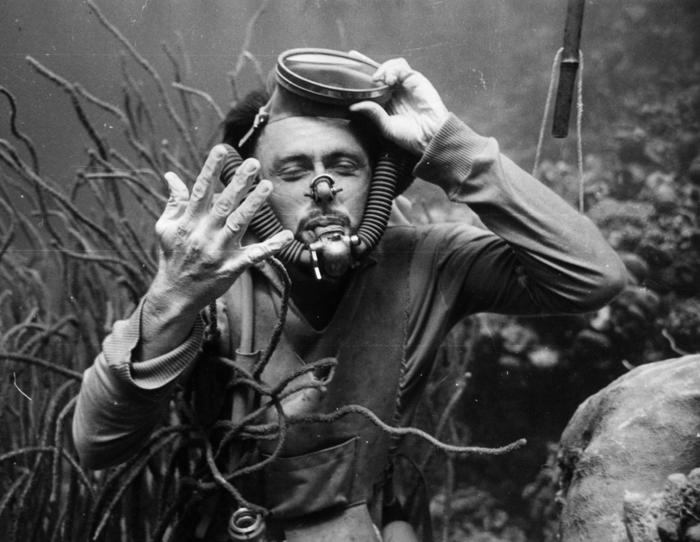 Underwater Filmmaking and Science Communication Hans Hass' Legacy ...