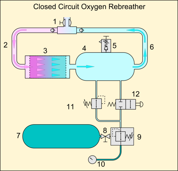 Diving Before Scuba: A Look at Henry Fleuss' Early Diving Apparatus ...