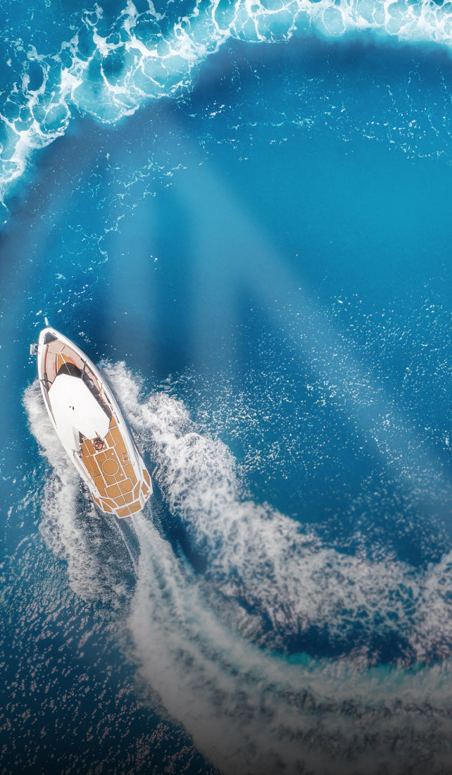 Spinnaker x SpongeBob SquarePants – Spinnaker Watches